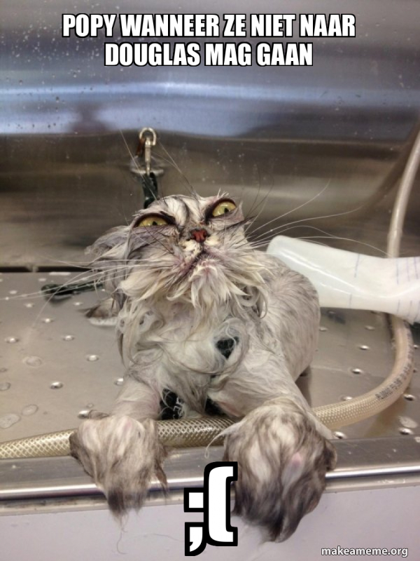 popy wanneer ze niet naar douglas mag gaan ;( - Cat Bath Returns Meme ...