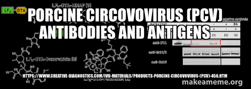 Porcine Circovovirus (PCV) Antibodies and Antigens https://www.creative ...