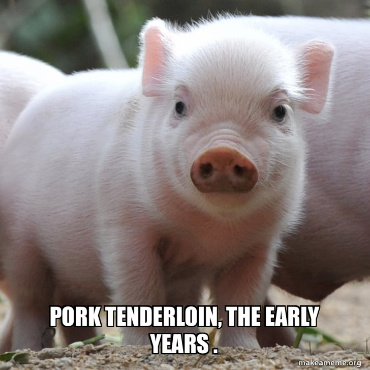 PORK TENDERLOIN, THE EARLY YEARS . Meme Generator