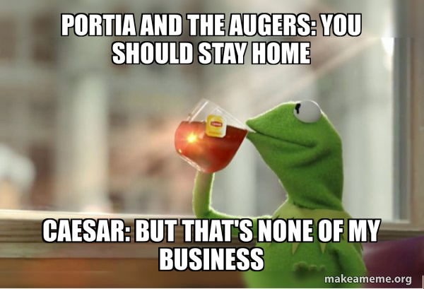 Portia and the augers: You should stay home Caesar: But That's None Of ...