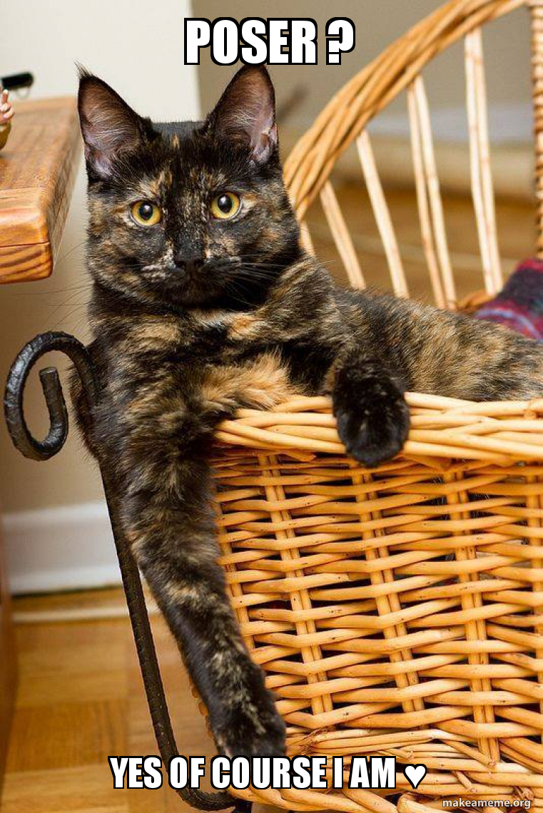 poser ? yes of course i am â™¥ Meme Generator