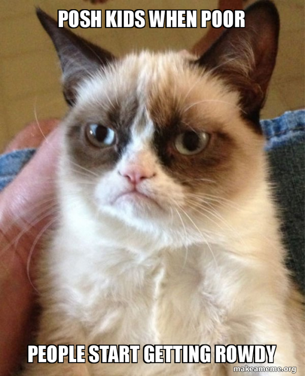posh kids when poor people start getting rowdy - Grumpy Cat Meme Generator