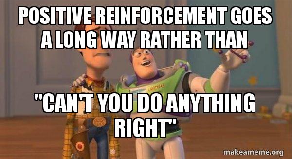 Positive Reinforcement goes a long way rather than "Can't you do ...