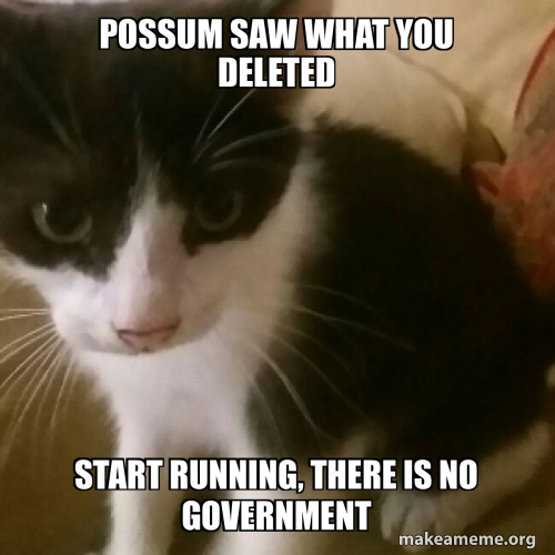 Possum saw what you deleted Start running, there is no government Meme ...
