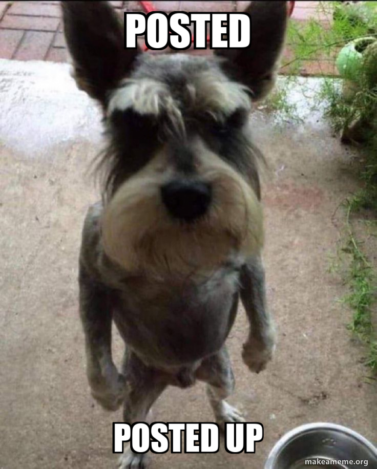 posted posted up Meme Generator