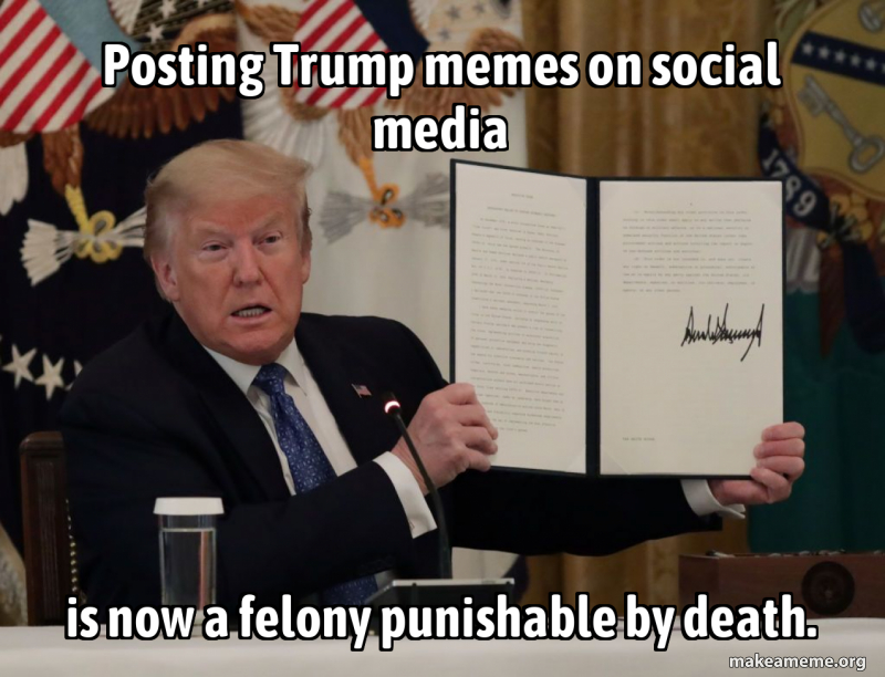 Posting Trump memes on social media is now a felony punishable by death ...