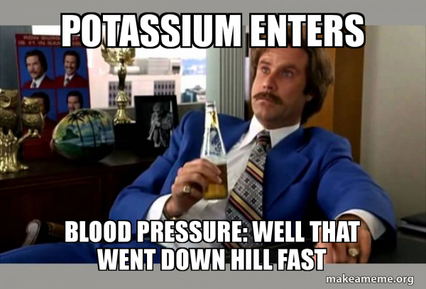 Potassium enters Blood pressure: Well that went down hill fast - Ron ...