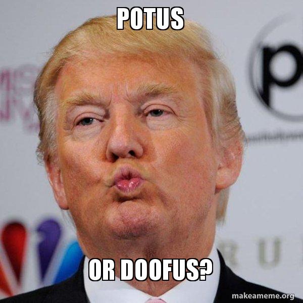 POTUS Or DOOFUS? - Donald Trump Kissing Meme Generator