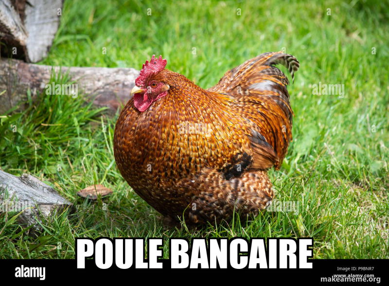 POULE BANCAIRE Meme Generator