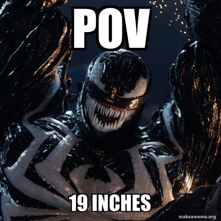 POV 19 inches Meme Generator
