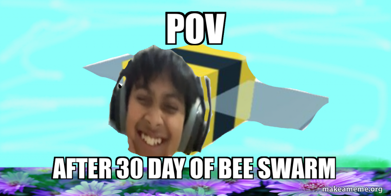 POV AFTER 30 DAY OF BEE SWARM Meme Generator