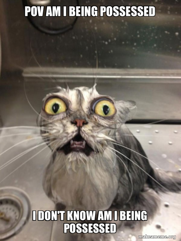 POV am I being possessed I don't know am I being possessed - Cat bath ...