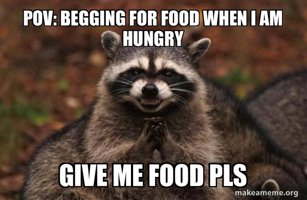 Pov: Begging for food when I am hungry GIVE ME FOOD PLS - Evil Plotting Raccoon Meme Generator