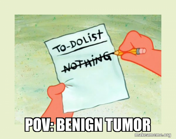 POV: Benign tumor - To Do List - Nothing Meme Generator