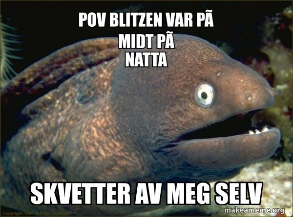 Pov blitzen var på midt på natta Skvetter av meg selv - Bad Joke Eel ...