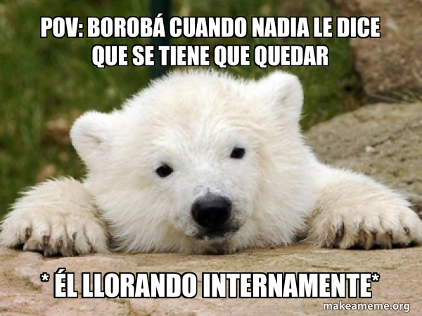 POV: Borobá cuando Nadia le dice que se tiene que quedar * Él llorando ...