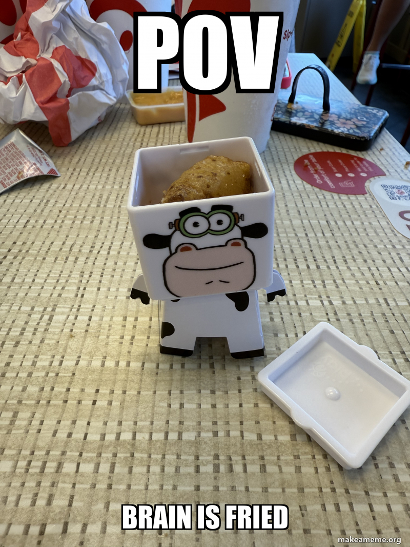 Pov Brain is fried Meme Generator