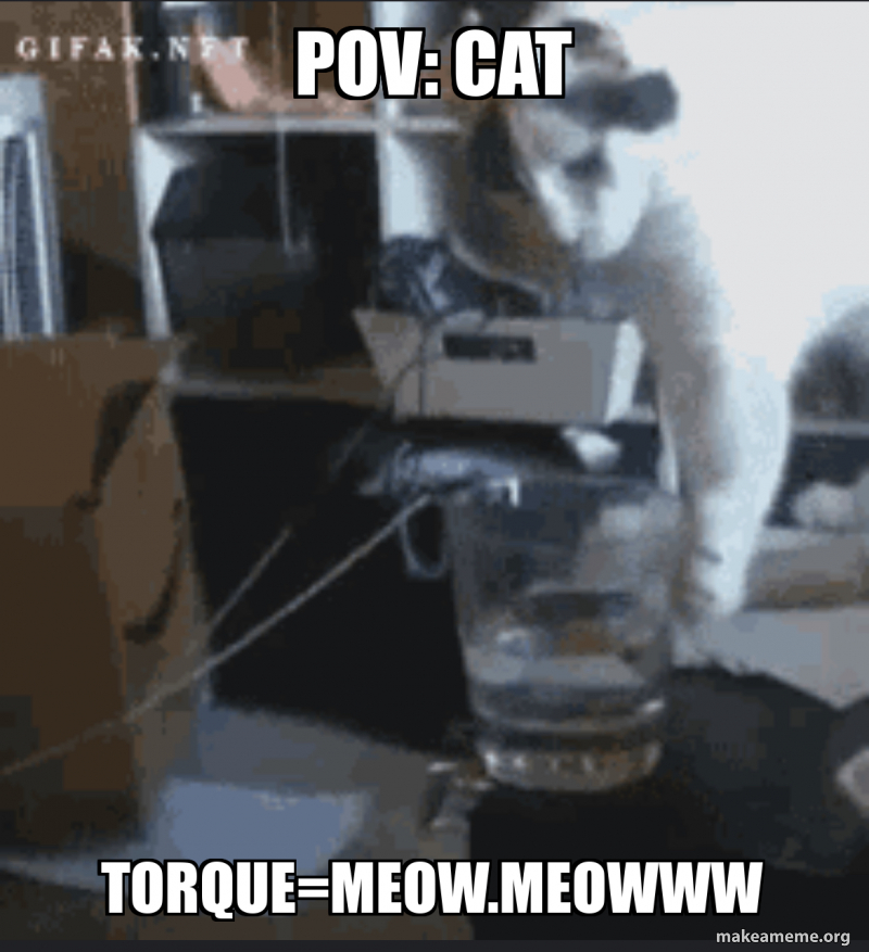 Pov: Cat Torque=Meow.meowww Meme Generator