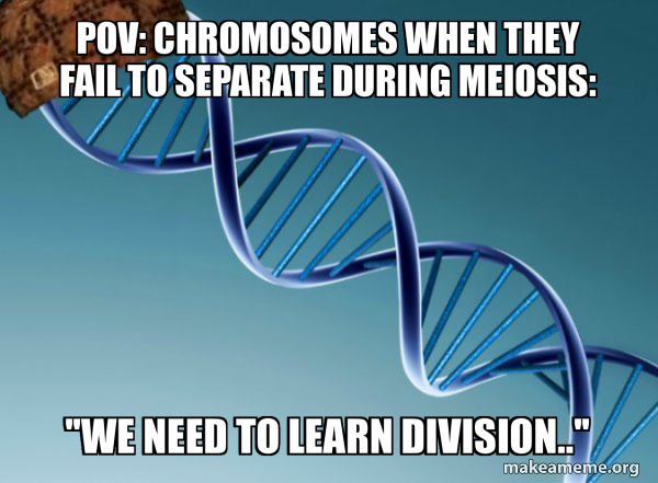 POV: chromosomes when they fail to separate during meiosis: ''we need ...