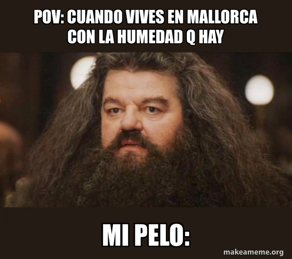 pov: cuando vives en mallorca con la humedad q hay mi pelo: - Hagrid ...