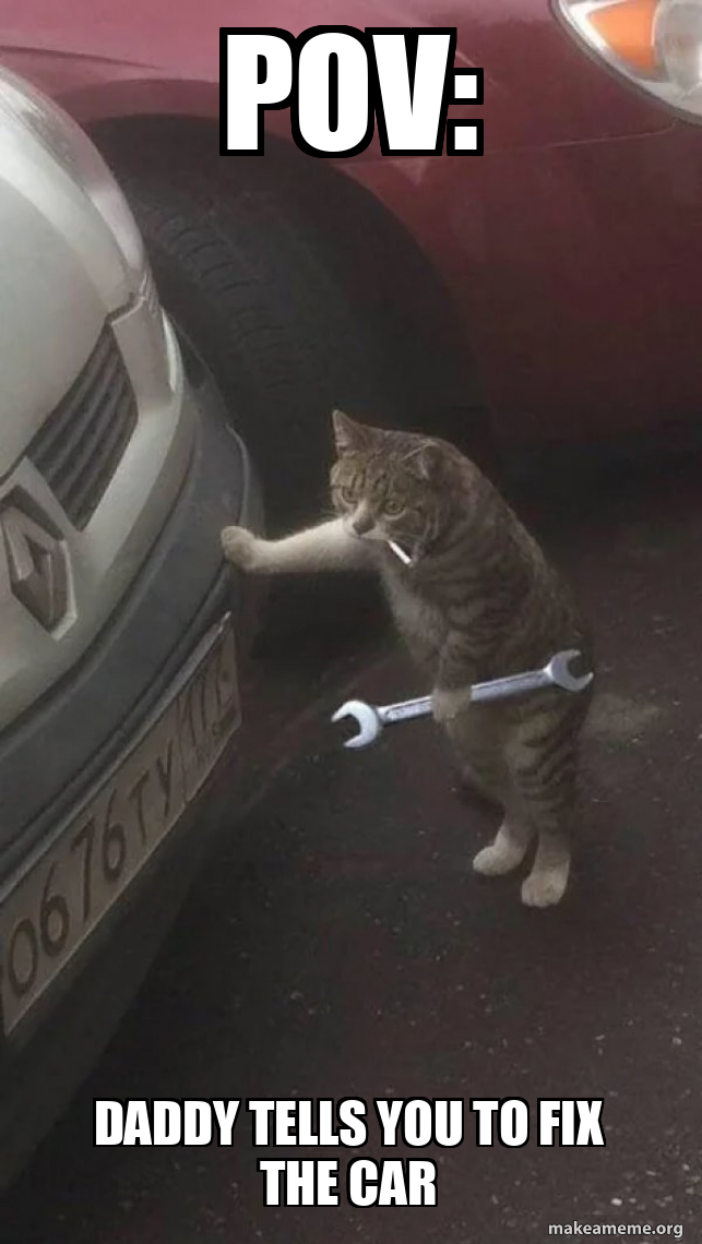 pov: daddy tells you to fix the car - Mechanic Cat Meme Generator