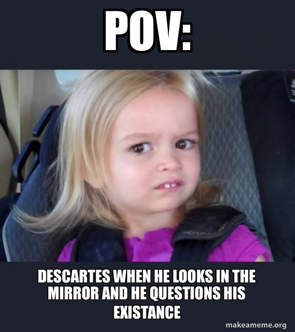 Pov: Descartes when he looks in the mirror and he questions his ...