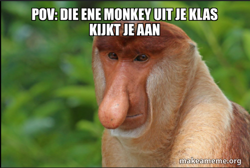 POv: die ene monkey uit je klas kijkt je aan Meme Generator
