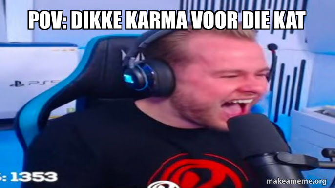 POV: Dikke karma voor die kat Meme Generator