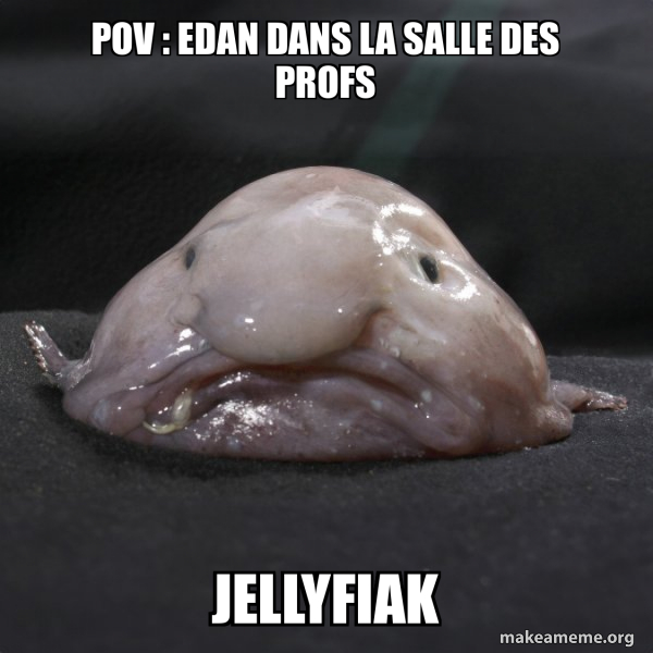 Pov : edan dans la salle des profs Jellyfiak - Blobfish Meme Generator