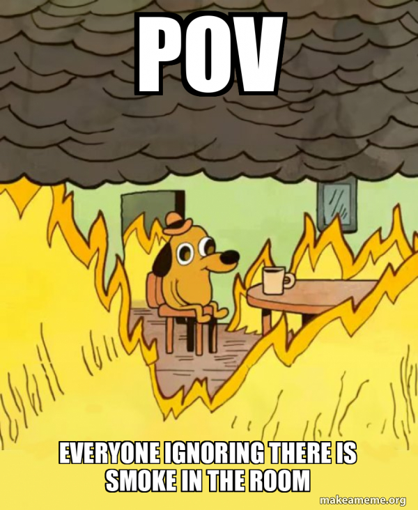 POV Everyone ignoring there is smoke in the room - This Is Fine Meme ...