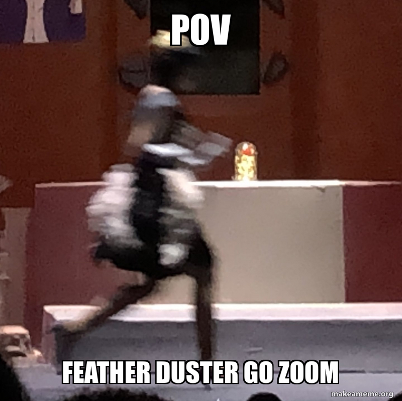 Pov Feather duster go zoom Meme Generator