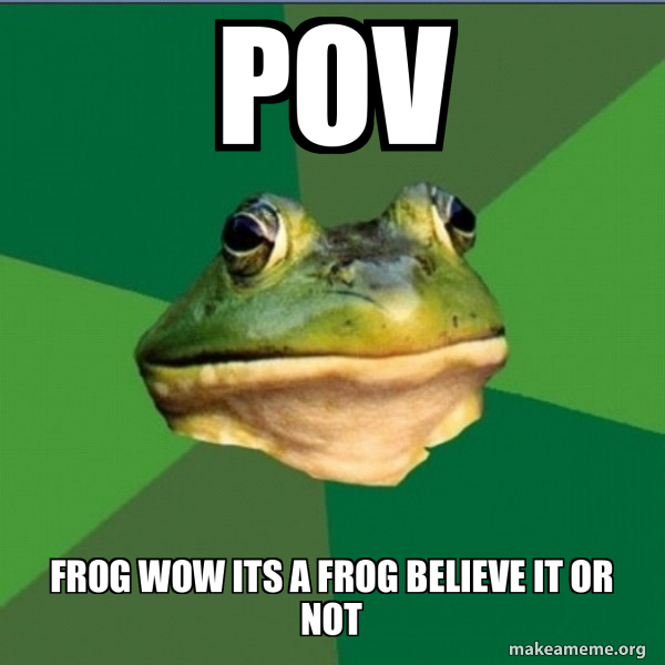 pov frog wow its a frog believe it or not - Foul Bachelor Frog Meme ...