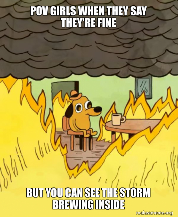 POV girls when they say they're fine But you can see the storm brewing inside - This Is Fine ...