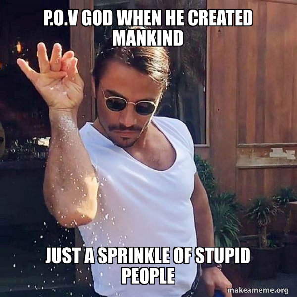 P.O.V God when he created mankind Just a sprinkle of stupid people ...