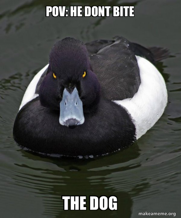 POV: he dont bite the dog - Revenge Duck ( Angry Advice Duck ) Meme ...