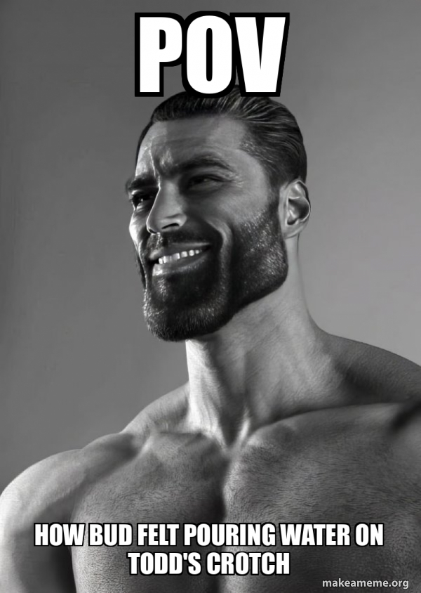 POV How Bud felt pouring water on Todd's crotch - Gigachad Meme Generator
