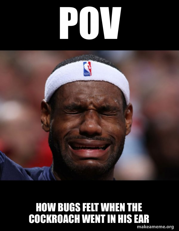 POV How Bugs felt when the cockroach went in his ear - Lebron Crying ...