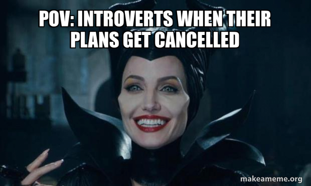 pov: introverts when their plans get cancelled Meme Generator
