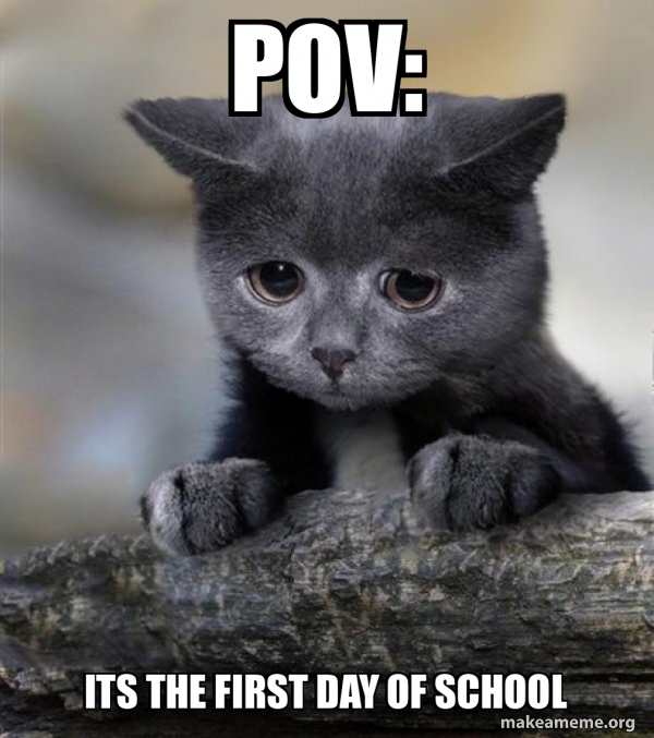 Pov: Its the first day of school - Confession Cat Meme Generator