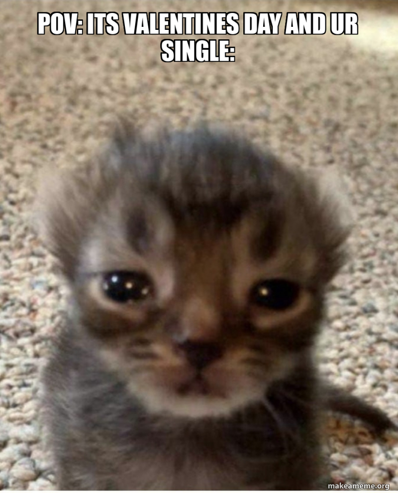 POV: Its VALENTINEs day and ur single: Meme Generator
