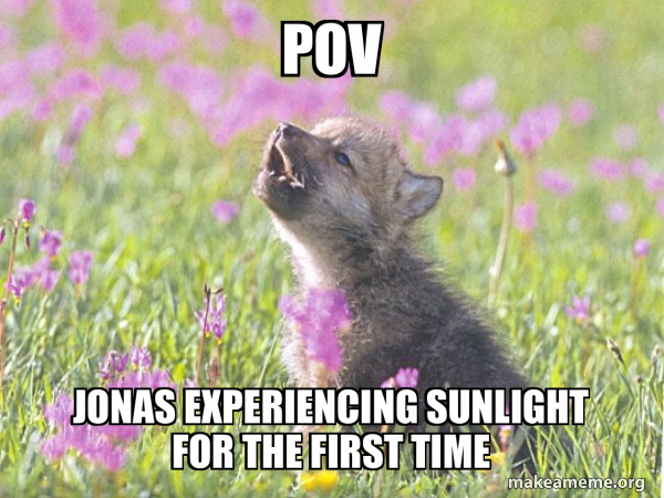 POV JONAS EXPERIENCING SUNLIGHT FOR THE FIRST TIME - Baby Insanity Wolf Meme Generator