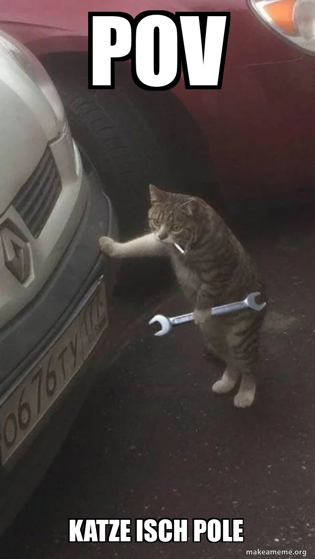 Pov Katze isch Pole - Mechanic Cat Meme Generator