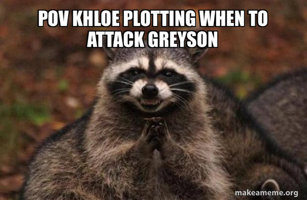 pov Khloe plotting when to attack greyson - Evil Plotting Raccoon Meme ...