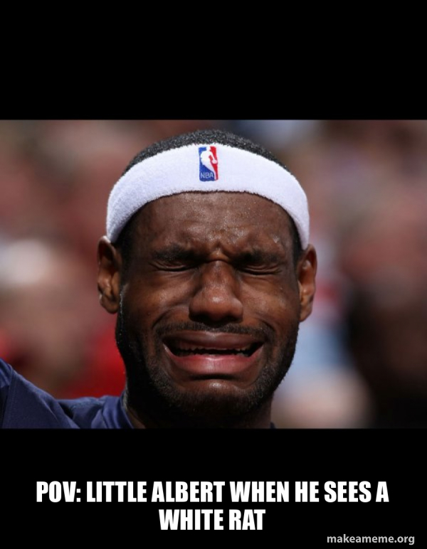 POV: Little albert when he sees a white rat - Lebron Crying Meme Generator