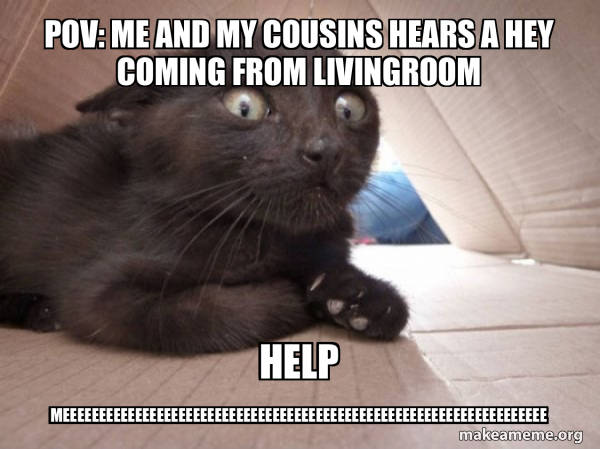 POV: Me and My cousins hears a hey coming from Livingroom Help ...
