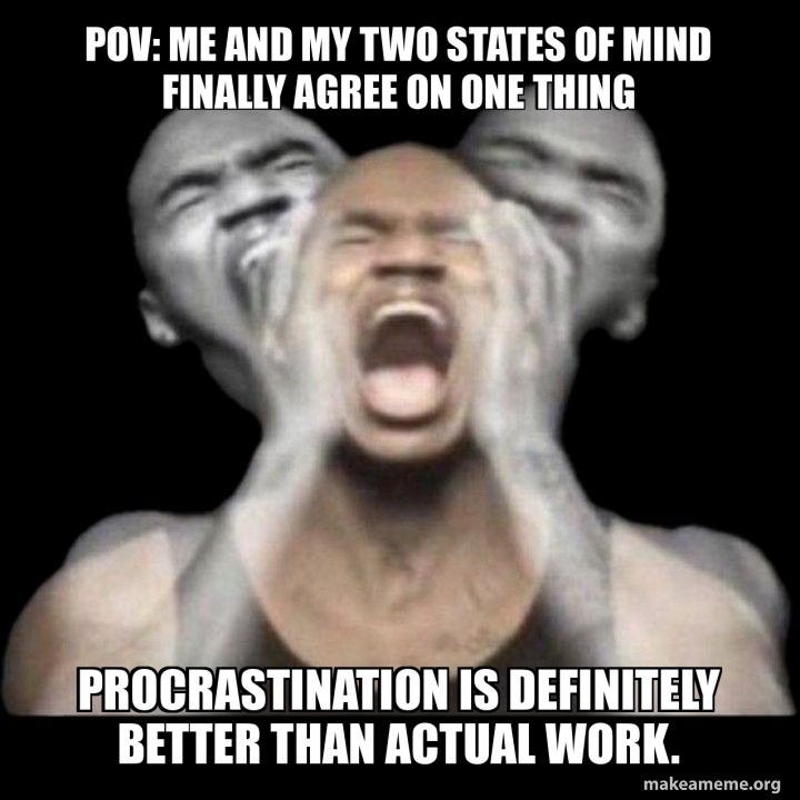 POV: Me and my two states of mind finally agree on one thing ...