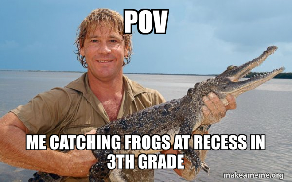 Pov Me Catching Frogs At Recess In 3th Grade Steve Irwin Meme Generator