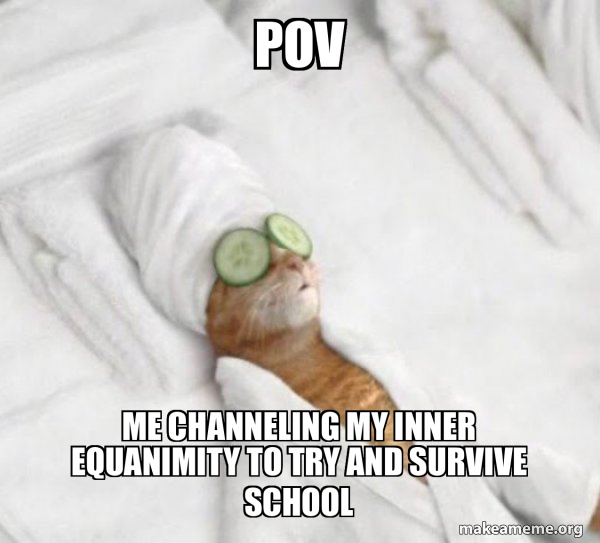 POV Me channeling my inner equanimity to try and survive school ...