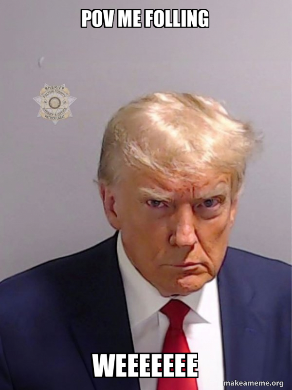 pov me folling weeeeeee - Donald Trump Mugshot Meme Generator