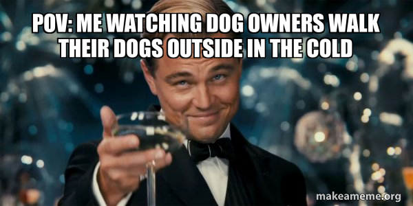 POV: Me watching dog owners walk their dogs outside in the cold - Great ...